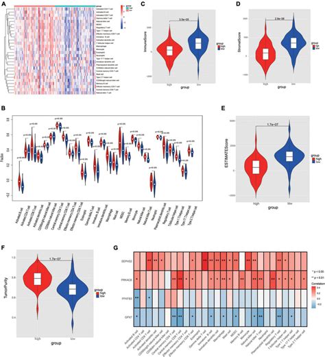Evaluation The Differences Of Immune Microenvironment Between Risk