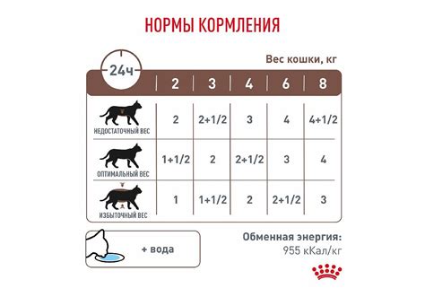 Royal Canin Gastrointestinal Ветеринарный влажный корм Консервы Паучи Роял Канин