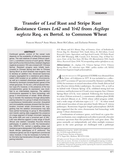 Pdf Transfer Of Leaf Rust And Stripe Rust Resistance Genes Lr62 And Yr42 From Aegilops