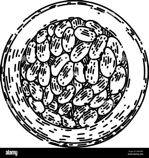 Passion Fruit Cut Sketch Hand Drawn Vector Stock Vector Image And Art Alamy