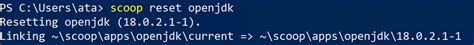 How To Install And Use The Scoop Windows Package Manager
