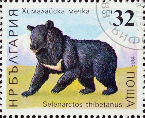 Cancelled Postage Stamp Printed By Bulgaria That Shows Asian Black