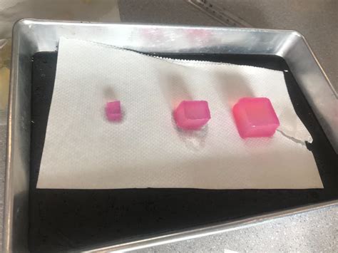 Diffusion In Agar Cubes Kamon S Blog