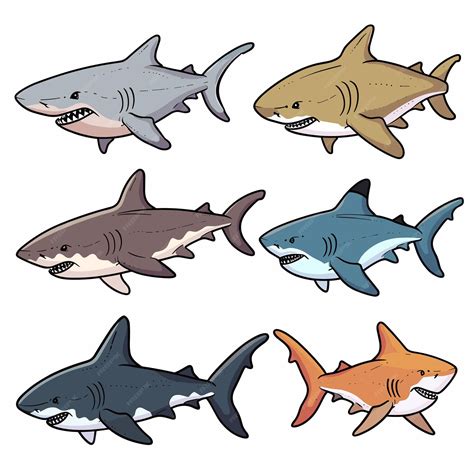 Premium Vector Six Cartoon Sharks Illustrated Various Colors