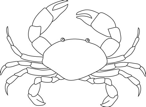 Aquatic Animal Outline Crab Clipart 41950569 Vector Art At Vecteezy