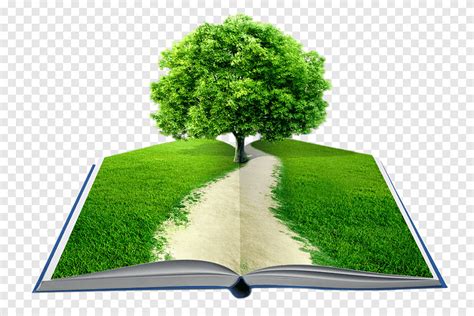 Books Grass And Trees Green Knowledge Notebook Png PNGEgg