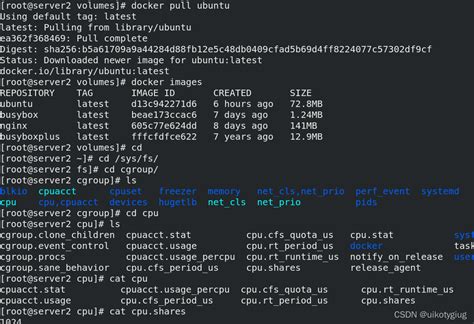 docker 八 docker安全 docker 安全组 csdn博客