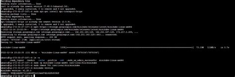 Deploy Multiple Applications On Kubernetes Cluster Using Helmv3 This