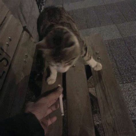 Stream Listen To Hot Stuff Sexxx Dori Playlist Online For Free On Soundcloud