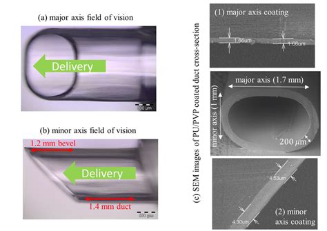 sample delivery device interface elliptical duct with a bevel tip the