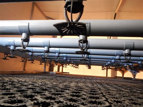 biological filters aquaculture consultancy and engineering ace