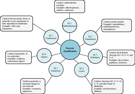 An Introduction To Enzyme Engineering Prospects