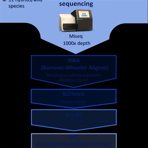 Data Analysis Flowchart Download Scientific Diagram