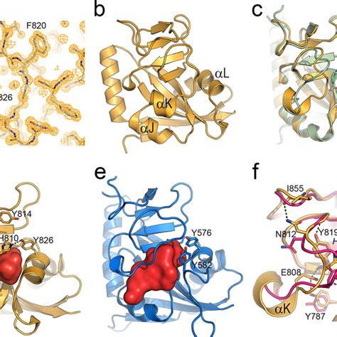 Crystal Structures Of The Parp Homology Domains Of Parp13 Parp12 And
