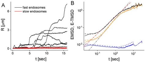 Entropy Special Issue Recent Advances In Single Particle Tracking Experiment And Analysis