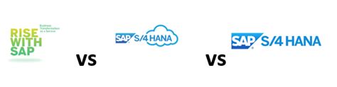 SAP S Evolution RISE Cloud On Premise Options