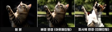 어도비 파이어플라이 사용법 포토샵 일러스트레이터 대체할 Ai 나눔프레스