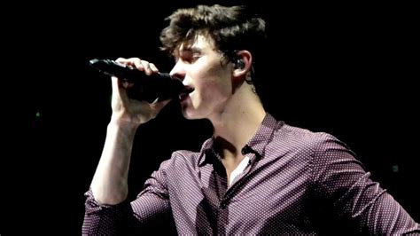 Shawn Mendes Roses Illuminate Tour Hamburg 2017 Youtube