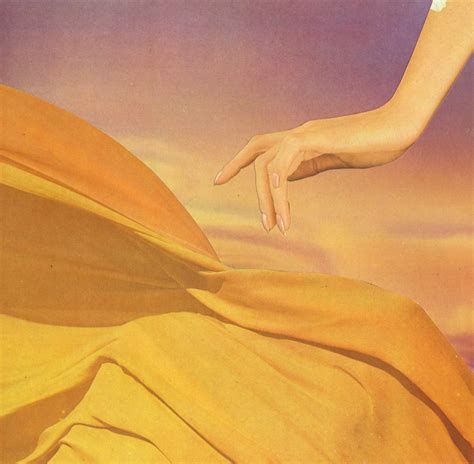 Inspired Alexandre Coll Purple Woods