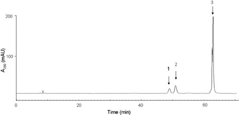 Hplc Trace For The Separation Of A Reaction Mixture Containing 12 Mer Download Scientific