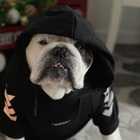 Lisa Mcfarlane Youtube