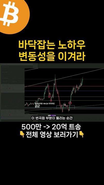 흔들리지 않는 매매 비트코인 전업투자자 매매법 Youtube