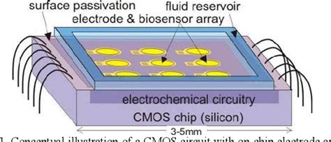 Figure 1 From Biosensor Array Microsystem On A Cmos Amperometric Readout Chip Semantic Scholar