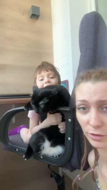 Жизнь кота с детьми коротко в моменте😀 жизнь тренды Emotions кот Youtube