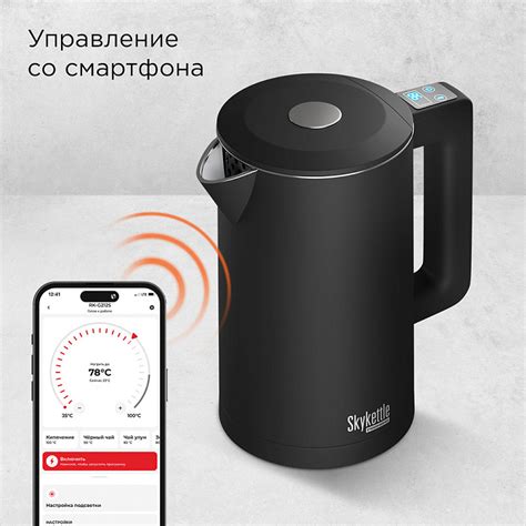 Умный чайник REDMOND SkyKettle KM231S (черный): купить в Москве, СПб ...
