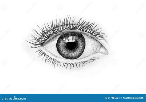 Hand Drawn Human Eye On White Background Art Illustration Black And