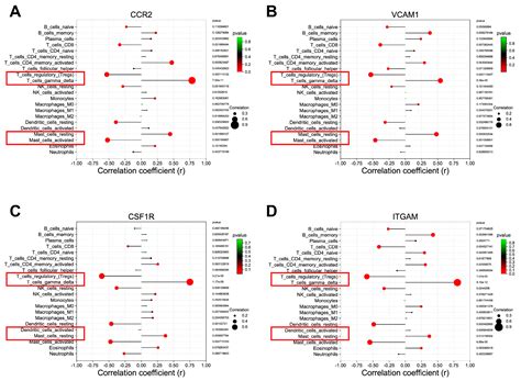 Identifying Aging Related Biomarkers And Immune Infiltration Features In Diabetic Nephropathy
