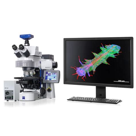 Zeiss Apotome 3 Optical Sectioning In Widefield Fluorescence Microscopy