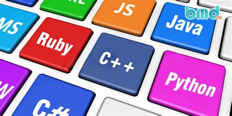 Help With Algorithm Design And Coding In Java Python And C Programming By Murshadkhan6 Fiverr