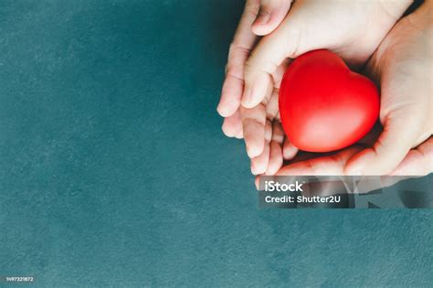 빨간 하트를 들고 있는 부부 가족 건강 보험 입양 장기 기증을 육성합니다 행복한 자원 봉사 자선 Csr 사회적 책임 세계 건강의