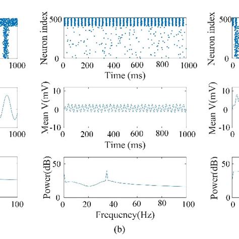 Resonance Activities In Cortical Neural Network With Multiple External Download Scientific