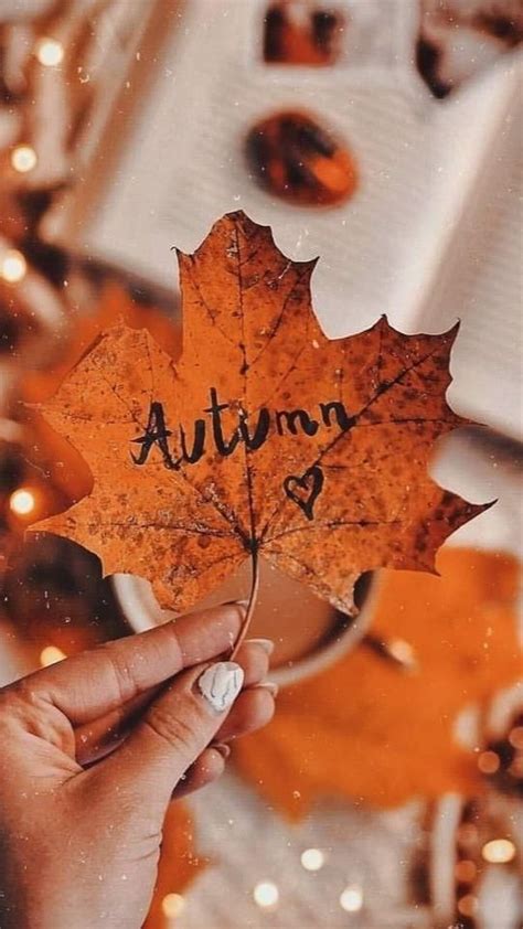 This Is The Month When Autumn Falls Begins In This Year Wish You A