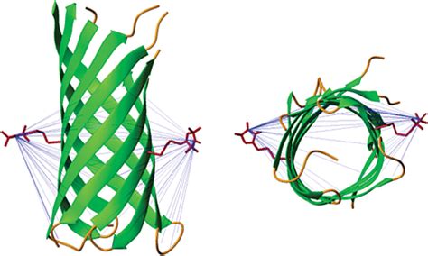 Ricardo Francisco Eichmann