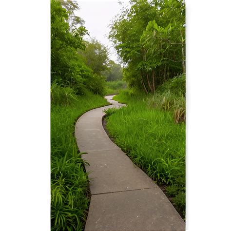 Download Riverside Walking Path Png 06202024