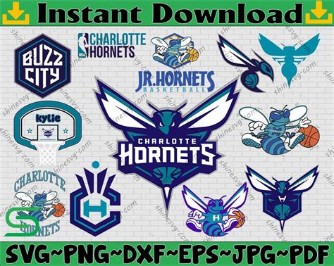 Bundle 12 Files Charlotte Hornets Basketball Team Svg Charl Inspire