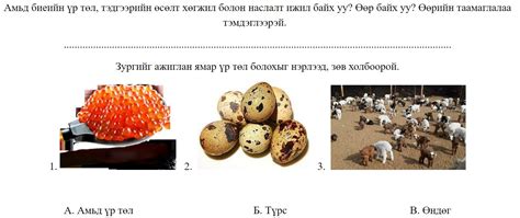 Мэдлээ Цахим контент