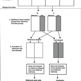 Permutation Methods Schematic Diagram Representing The Three Download Scientific Diagram