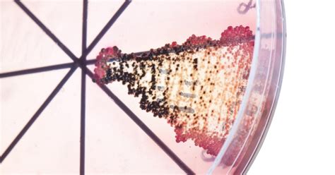 How Diy Biohacking May Revolutionize Medicine And Business Big Think How Diy Biohacking May Revolutionize Medicine And Business Big Think