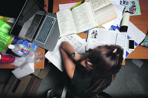 Viral Joki Skripsi Dan Tugas Kuliah Harga Mulai Rp 80 Ribu