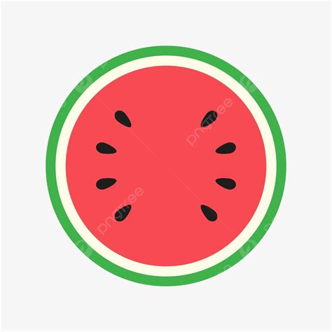 Basic Vector Graphic Depicting One Half Of A Watermelon Vector Section