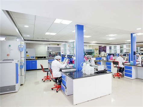 Large Molecule Bioanalysis And Bioanalytical Cro In India Medical