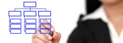 Lean Organization Design