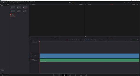 playback unavailable and other issues r davinciresolve