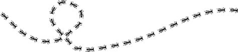 Ant Trail Illustration Insect Path To The Home 28193491 Vector Art At