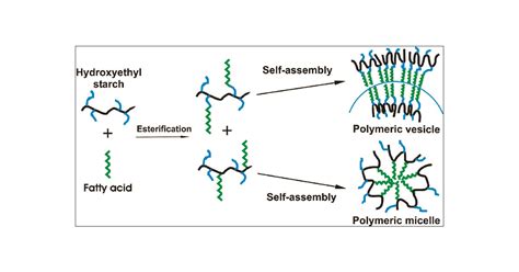 Hydrophobically Modified Hydroxyethyl Starch Synthesis Characterization And Aqueous Self
