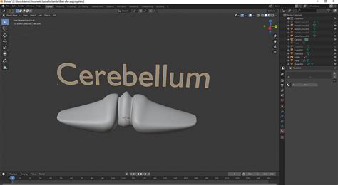 Advice For A Brain Model Modeling Blender Artists Community